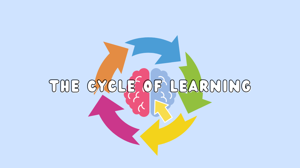 Cycles of learning